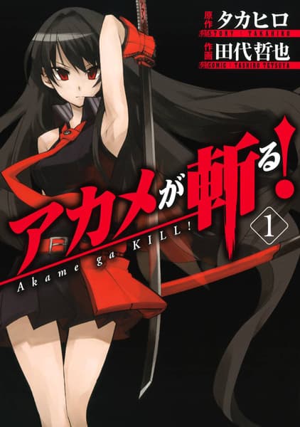 Where to Start the Akame ga Kill! Manga After the Anime (2026 ...